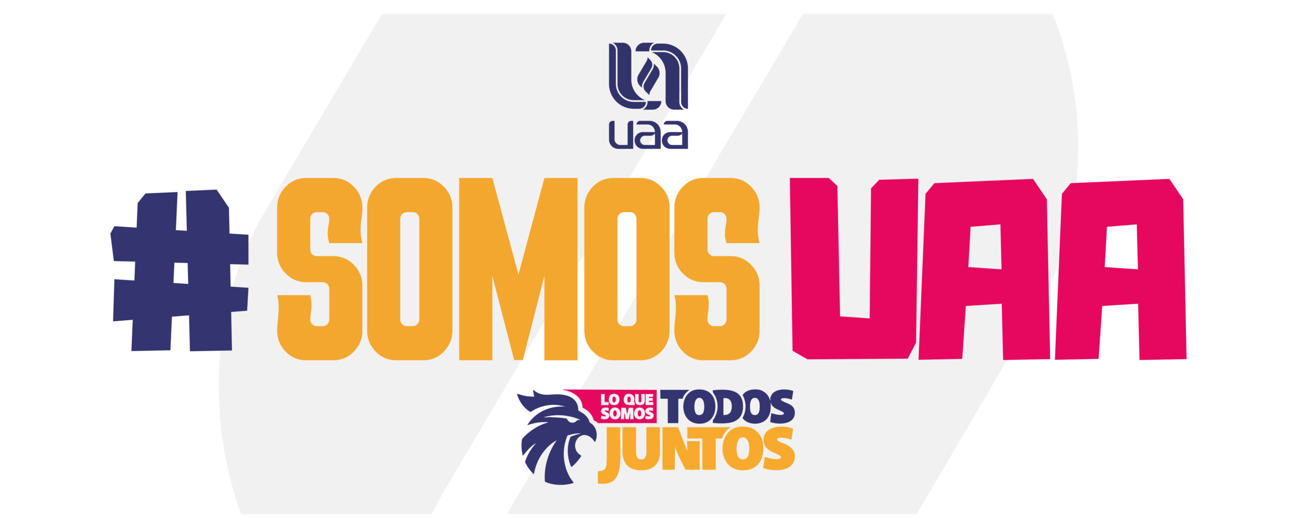 Publications - UAA | Autonomous University of Aguascalientes | UAA ...